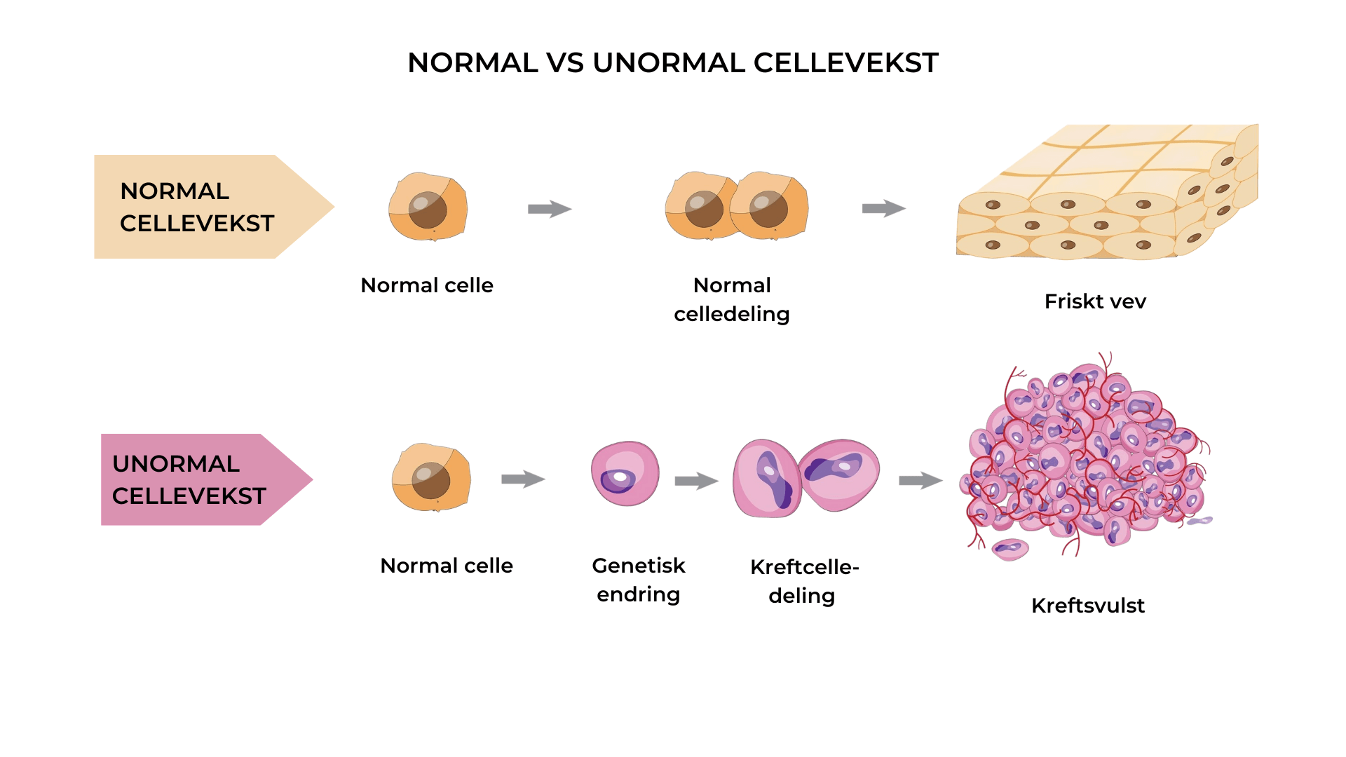 Kan kreft oppdages ved blodprøver? - Blodsjekk