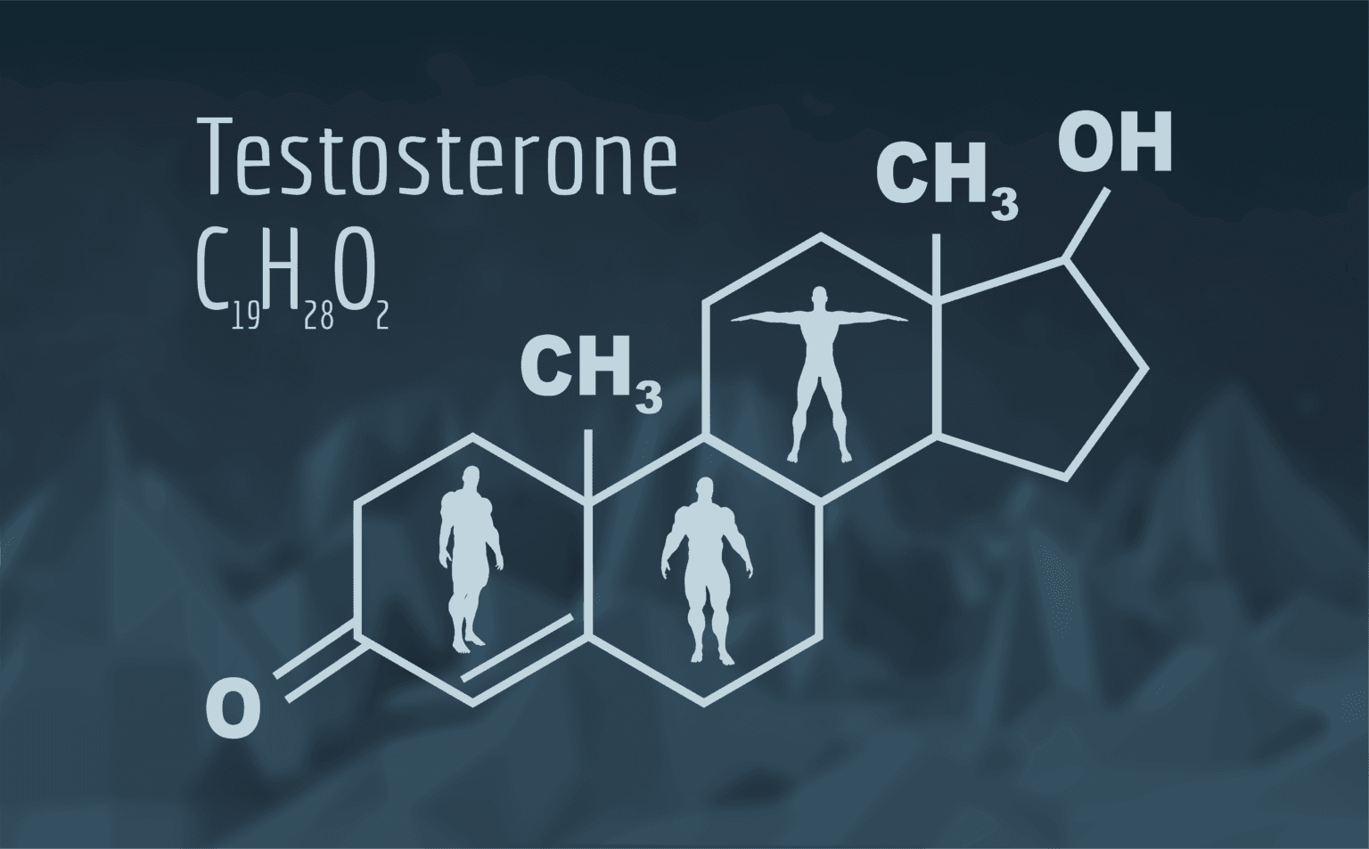 Testosteron - lavt nivå kobles til flere helseproblemer - Blodsjekk